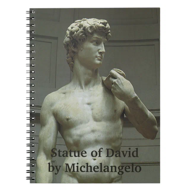 Michelangelo's Statue of David Notebook | Zazzle