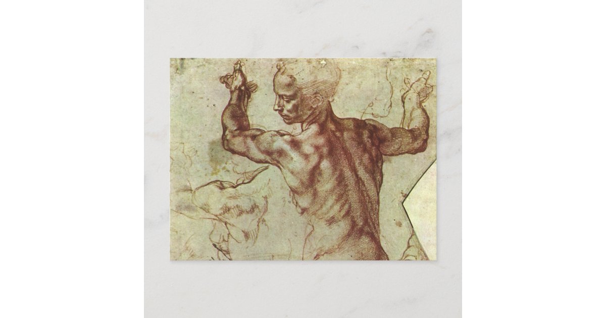 Michelangelo's Study of a Libyan Sibyl Postcard | Zazzle