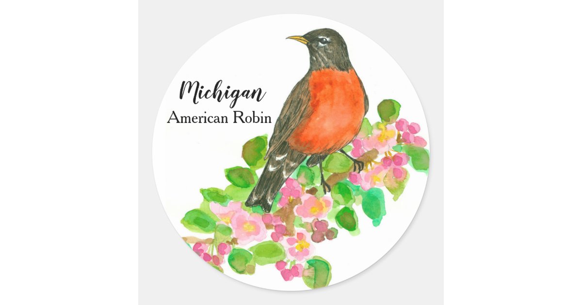 Michigan Bird American Robin Blossoms Classic Round Sticker | Zazzle