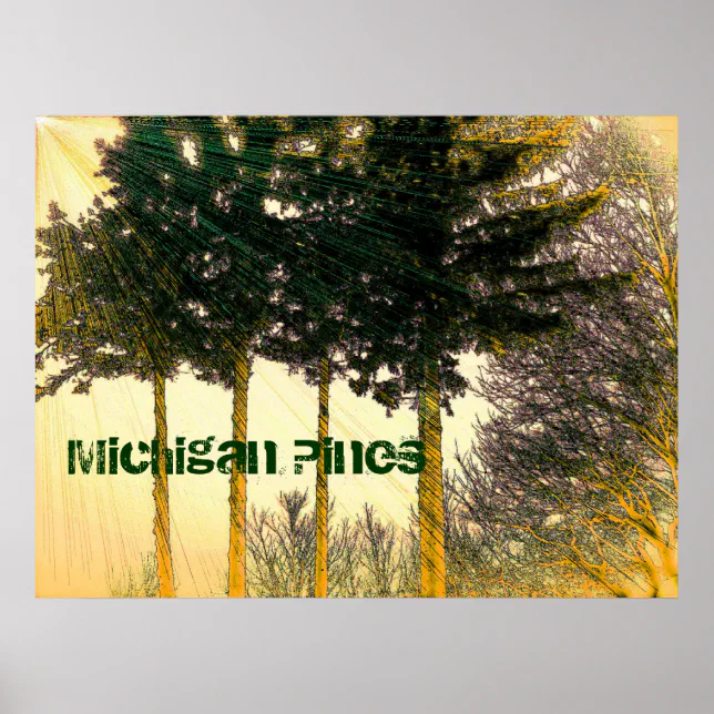 Michigan Pines Poster | Zazzle