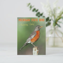 Michigan State Bird - American Robin Postcard | Zazzle