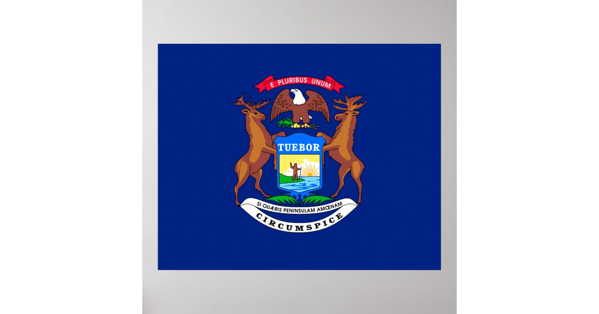 Michigan State Flag Design Poster | Zazzle