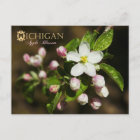 Michigan State Flower: Apple Blossom Postcard | Zazzle