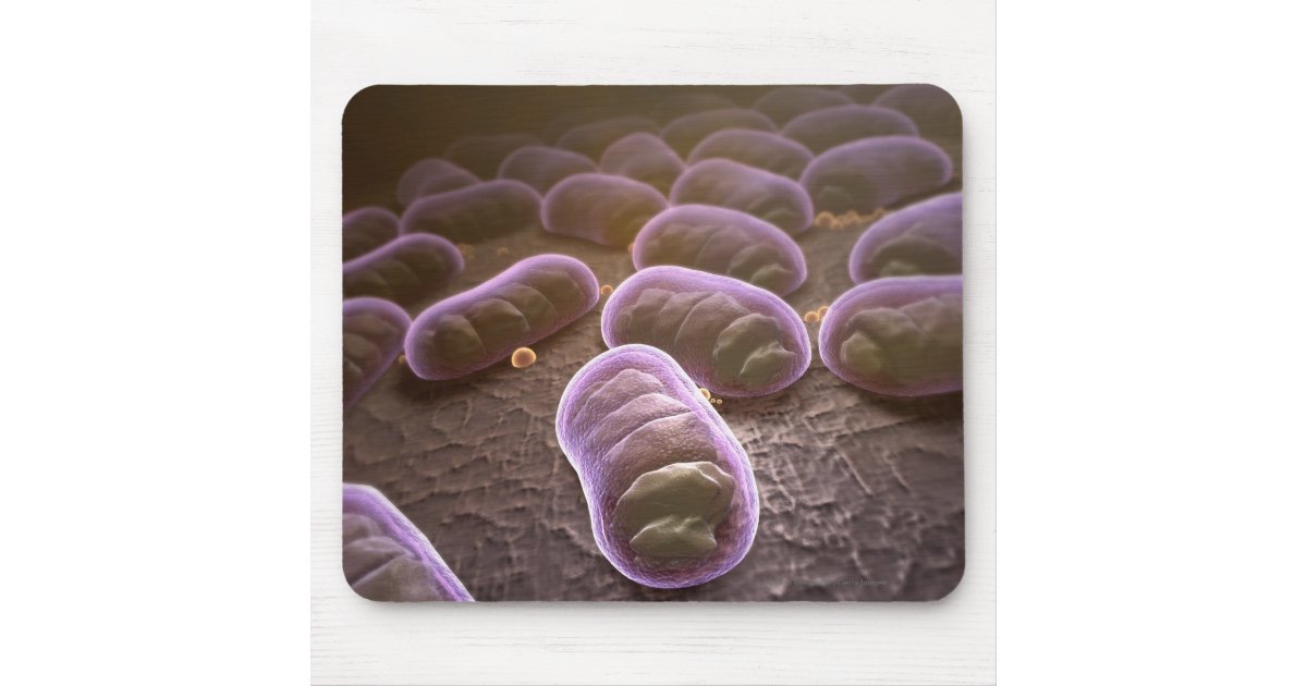 Microscopic view of bacteria mouse pad | Zazzle