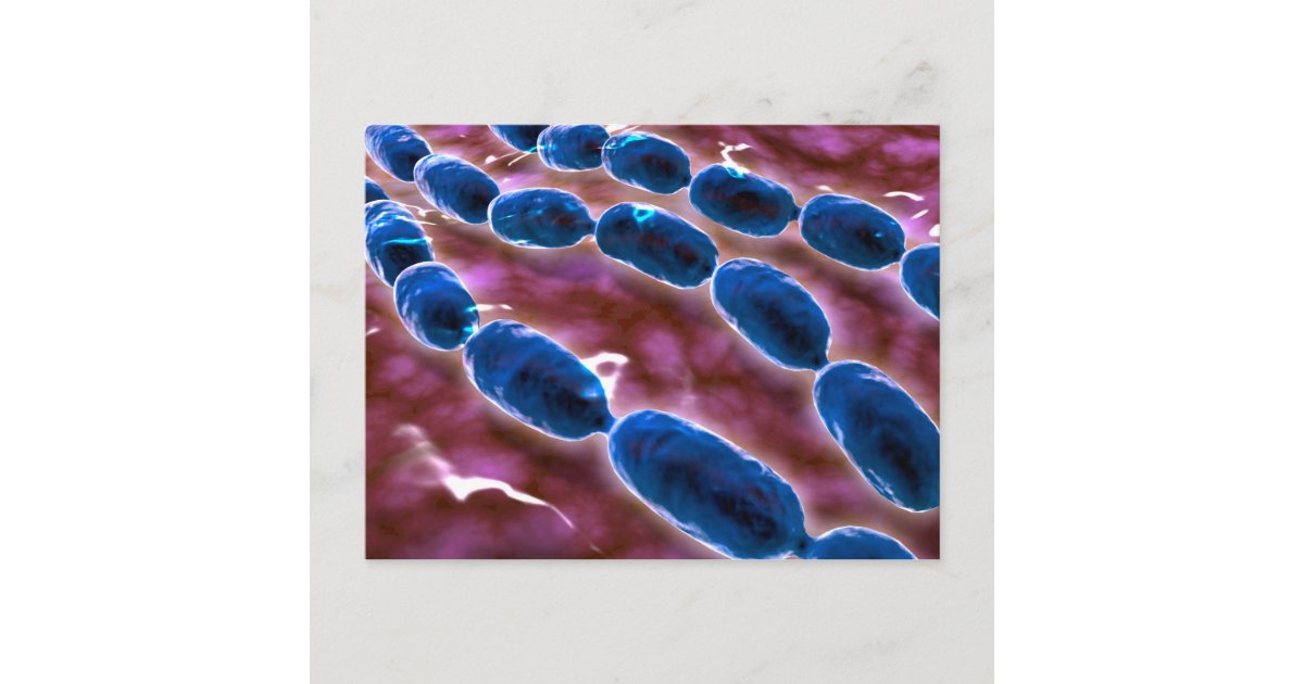 Microscopic View Of Bacterial Pneumonia 1 Postcard | Zazzle