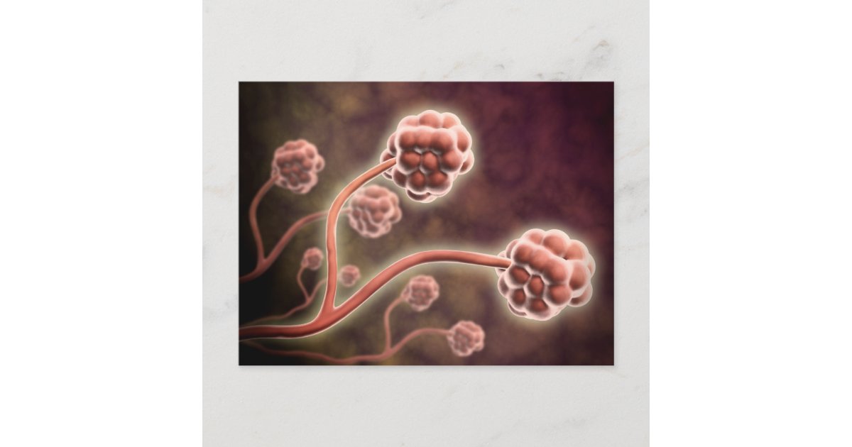 Microscopic View Of Stachybotrys Chartarum Postcard | Zazzle