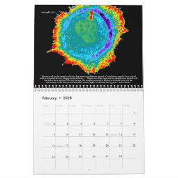 Microscopic World Calendar | Zazzle