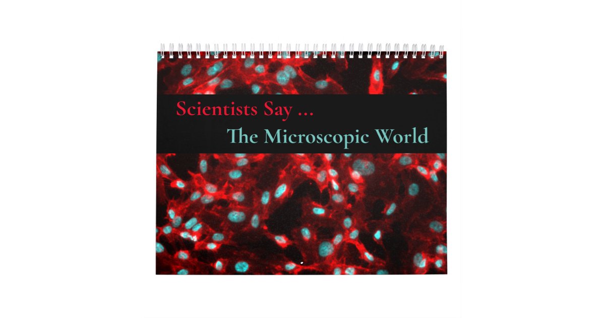 Microscopic World Calendar | Zazzle