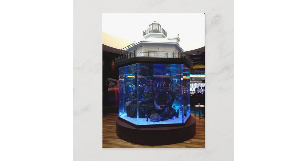 Middle Bay Lighthouse Fish Tank Postcard | Zazzle