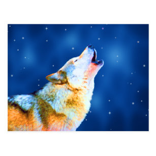 Wolf Postcards - No Minimum Quantity | Zazzle