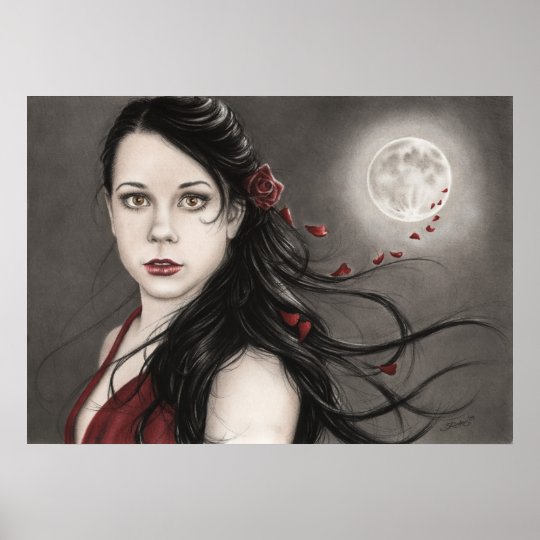Midnight Rose Poster | Zazzle.com