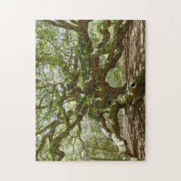 Mighty Angel Oak Jigsaw Puzzle | Zazzle