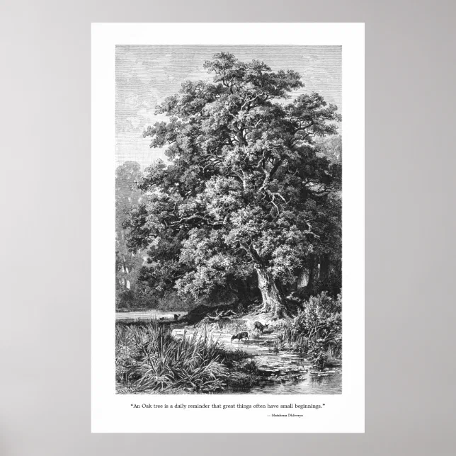 Mighty Oak Tree Inspirational Black & White Poster | Zazzle