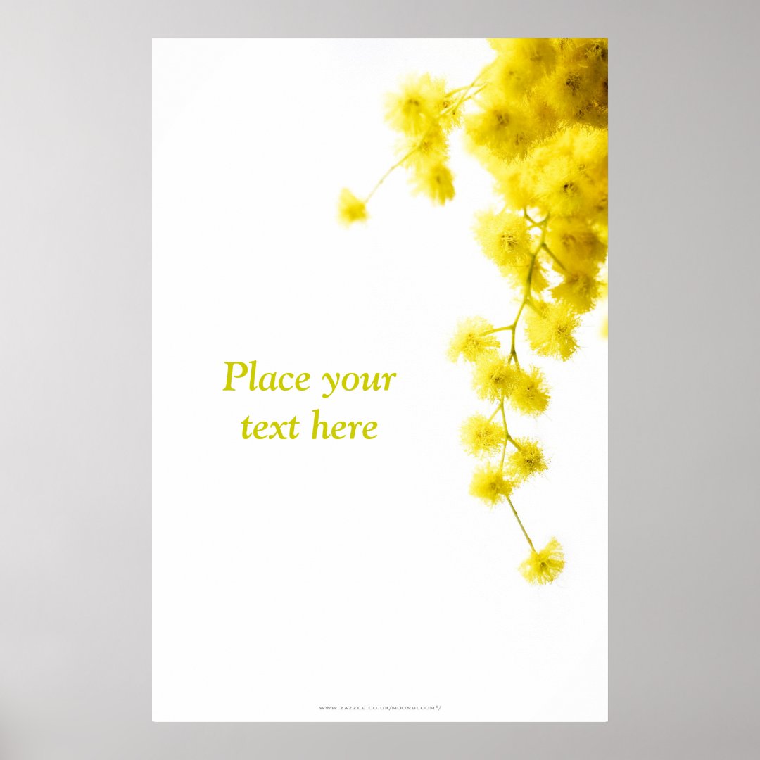 Mimosa Poster | Zazzle