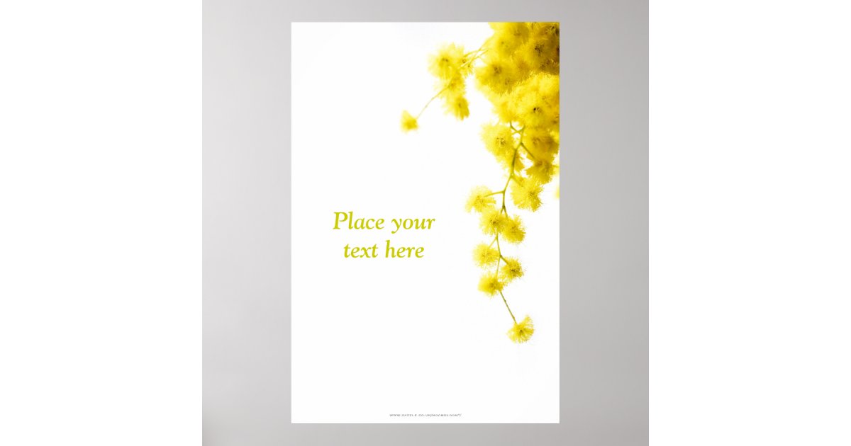 Mimosa Poster | Zazzle