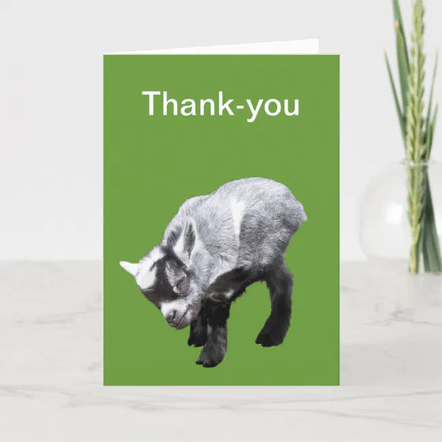 Minature Goat Scratching Thank-you Card | Zazzle