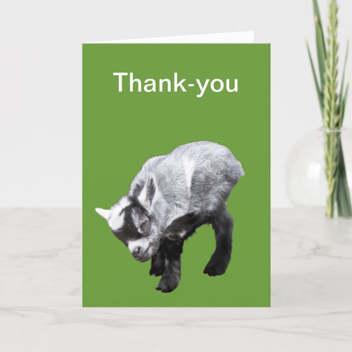 Minature Goat Scratching Thank-you Card | Zazzle.com