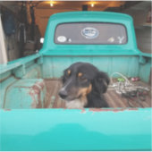 Mini Aussie Sticker | Zazzle