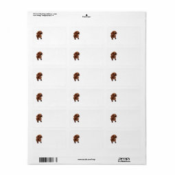 Mini Dachshund Address Labels | Zazzle