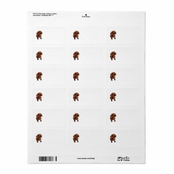 Mini Dachshund Address Labels | Zazzle