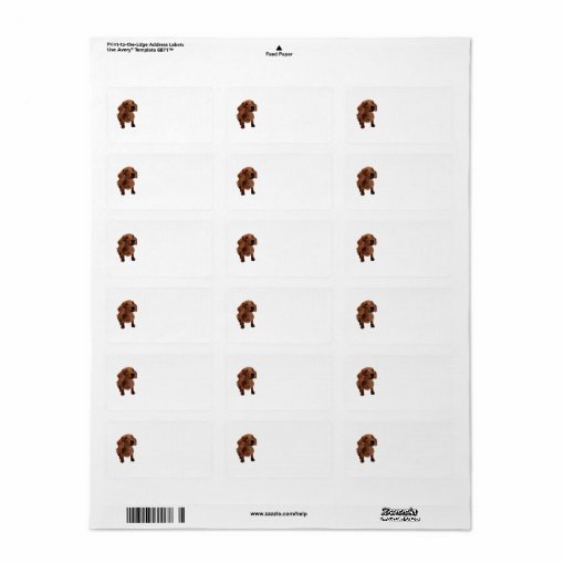 Mini Dachshund Address Labels | Zazzle