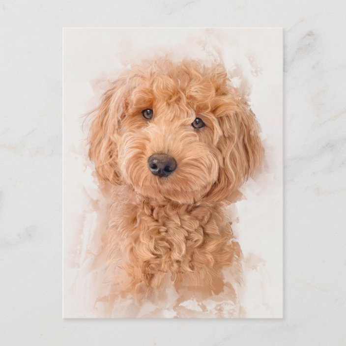 Mini Goldendoodle Dog Portrait Postcard | Zazzle.com