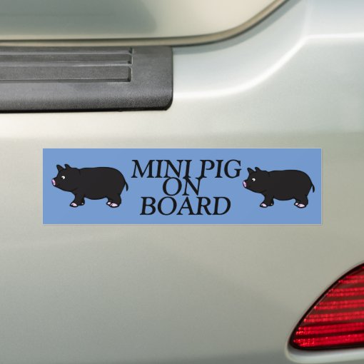 MINI PIG ON BOARD, Black Mini Pig Bumper Sticker | Zazzle