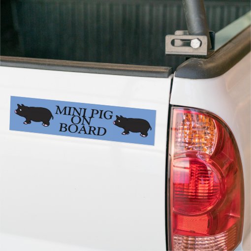 MINI PIG ON BOARD, Black Mini Pig Bumper Sticker | Zazzle