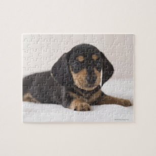 Dachshund Jigsaw Puzzles | Zazzle