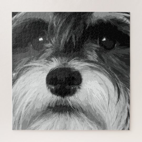 Miniature Schnauzer Jigsaw Puzzle | Zazzle.com