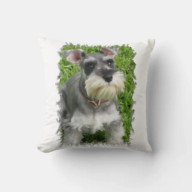 Miniature Schnauzer Pillow | Zazzle