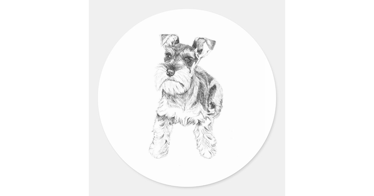 Miniature Schnauzer Sticker | Zazzle