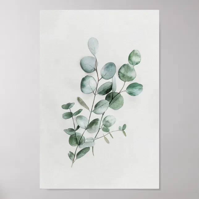 Minimalist Botanical Eucalyptus in Watercolor Poster | Zazzle