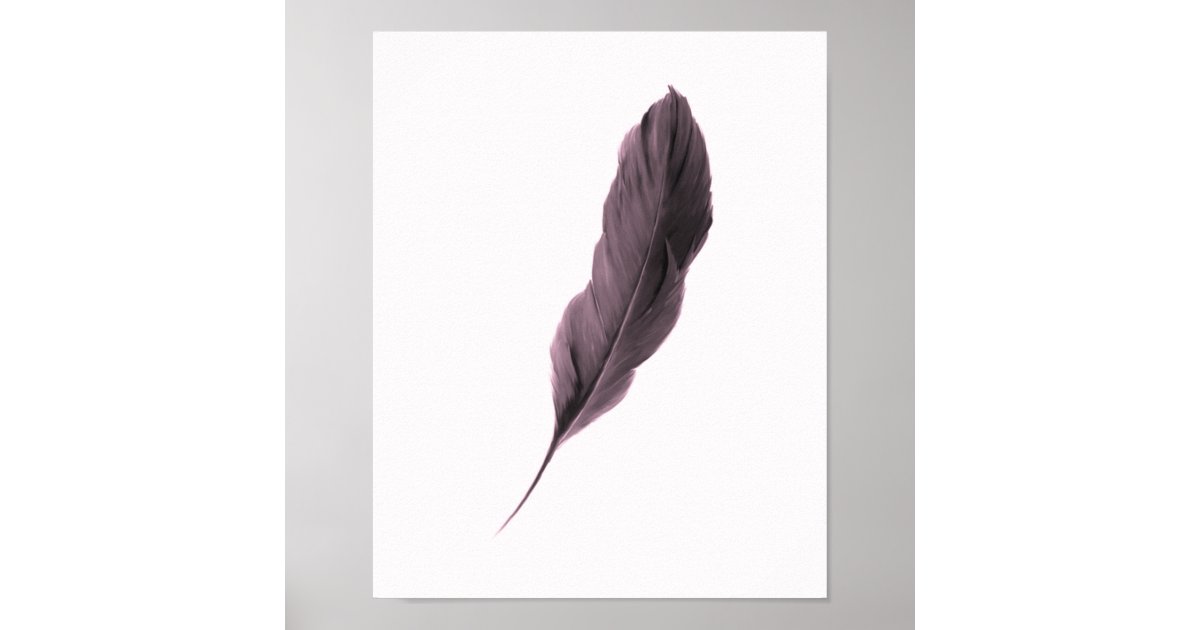 Minimalist Feather Poster | Zazzle