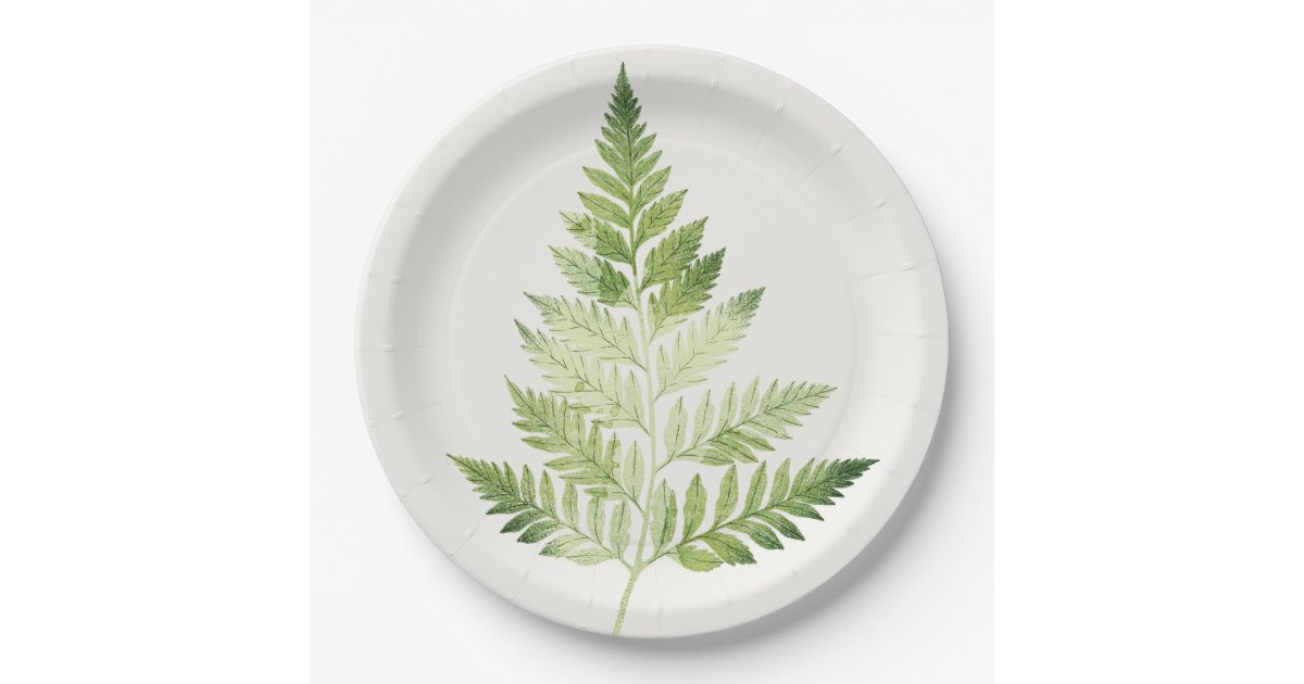 Minimalist Green Fern Botanical Illustration Paper Plates | Zazzle