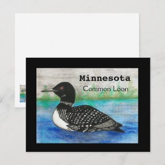 Minnesota Common Loon State Bird Postcard | Zazzle