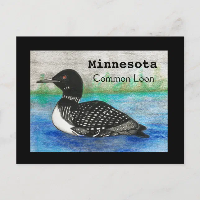 Minnesota Common Loon State Bird Postcard | Zazzle