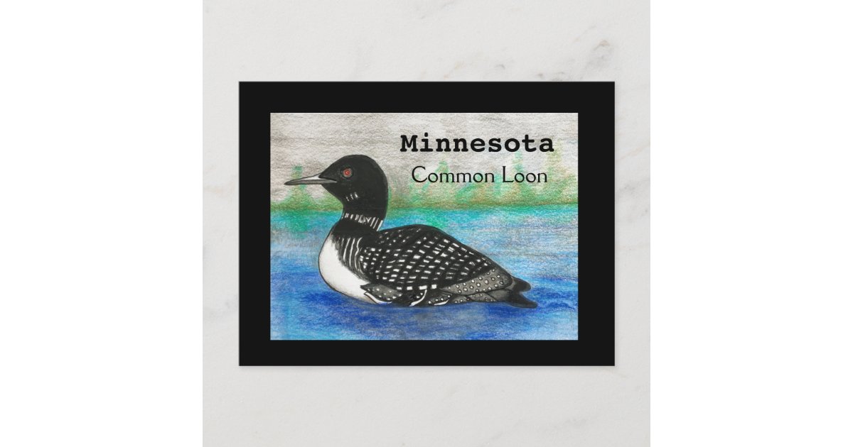 Minnesota Common Loon State Bird Postcard | Zazzle