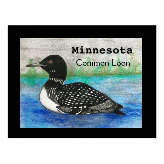 Minnesota Common Loon State Bird Postcard | Zazzle.com