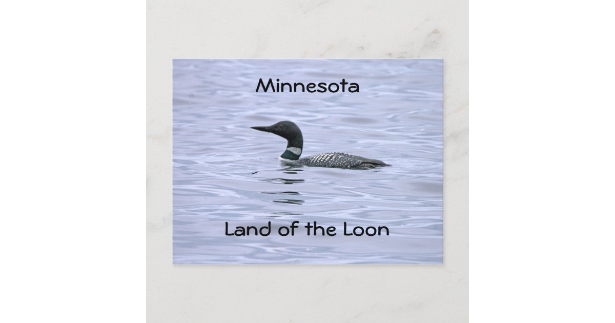 Minnesota land of the Loon Postcard | Zazzle
