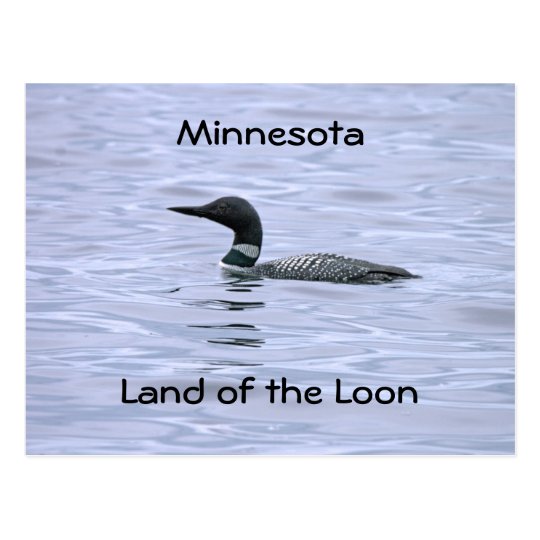 Minnesota land of the Loon Postcard | Zazzle.com