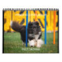 MINNESOTA SHELTIE RESCUE 2023 CALENDAR | Zazzle