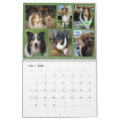 Minnesota Sheltie Rescue Calendar for 2019 | Zazzle
