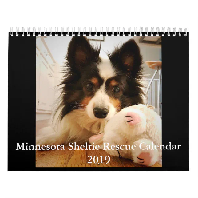 Minnesota Sheltie Rescue Calendar for 2019 | Zazzle