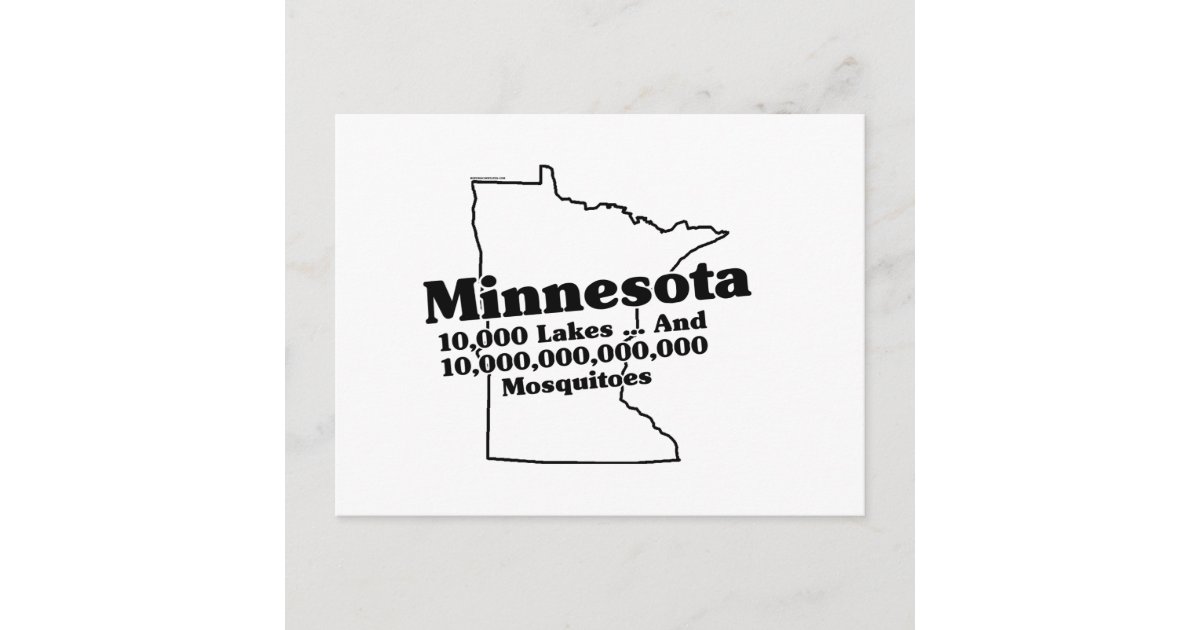 Minnesota State Slogan Postcard | Zazzle