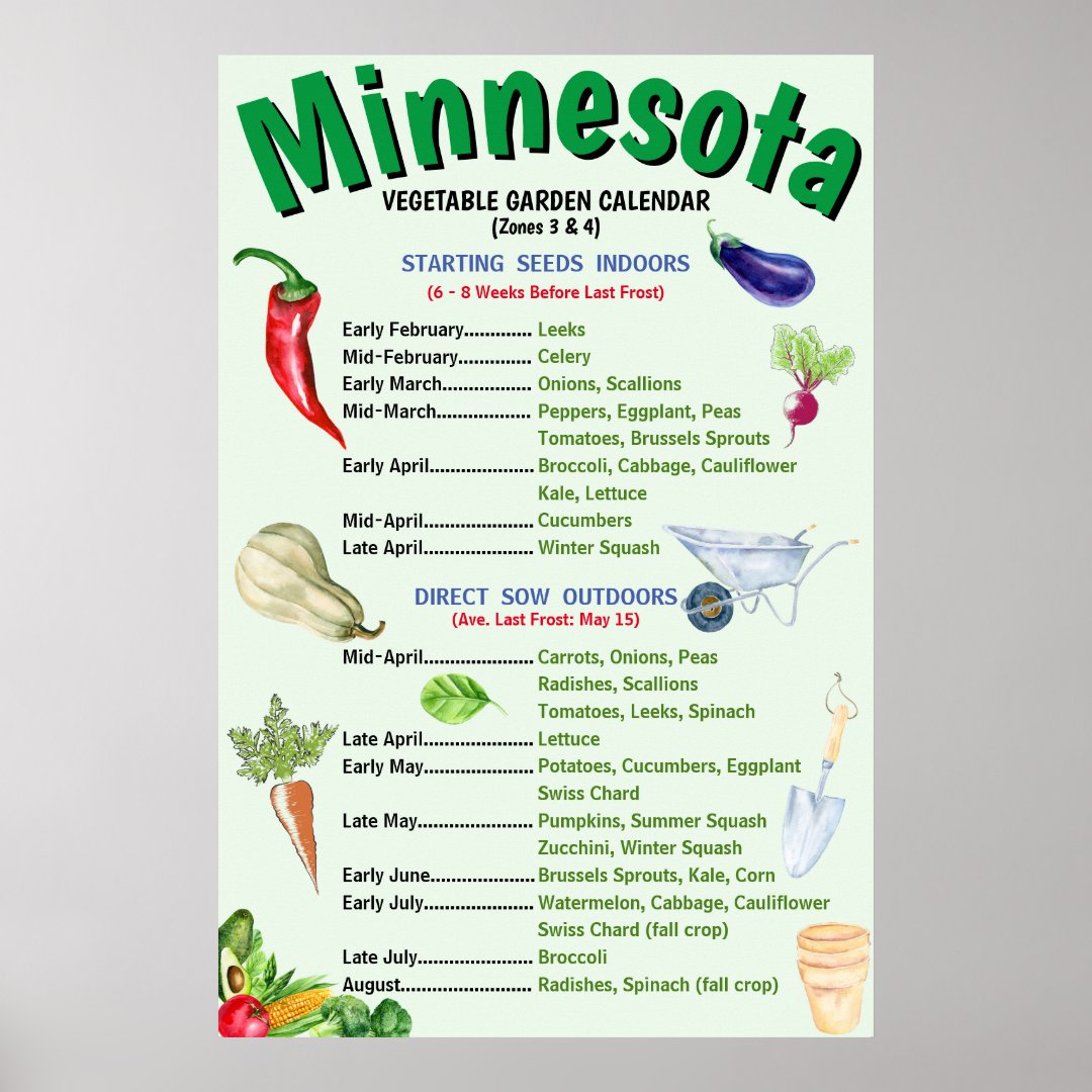 Minnesota Vegetable Garden Calendar Poster | Zazzle