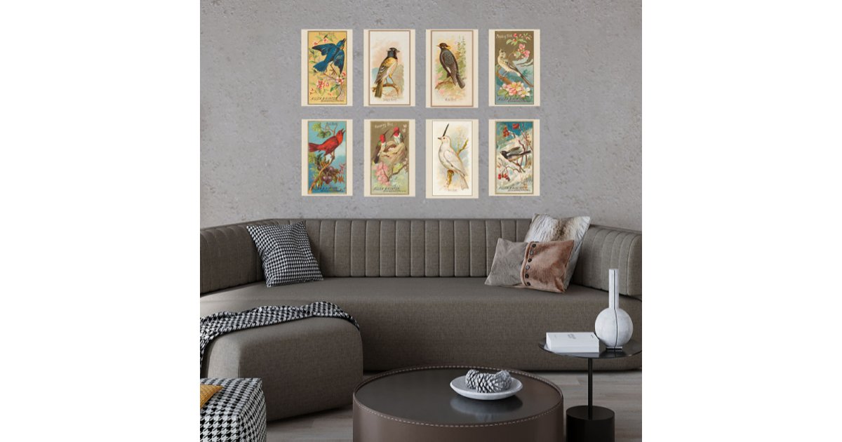 Mino bird, Set of 8 Bird Gallery Wall, 4 of 8 Faux Canvas Print | Zazzle