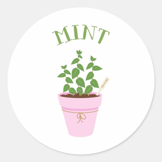 Mint Classic Round Sticker | Zazzle.com