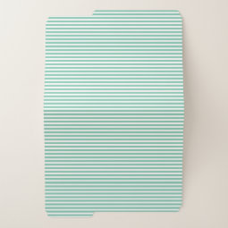 Mint Green and White Striped File Folder | Zazzle