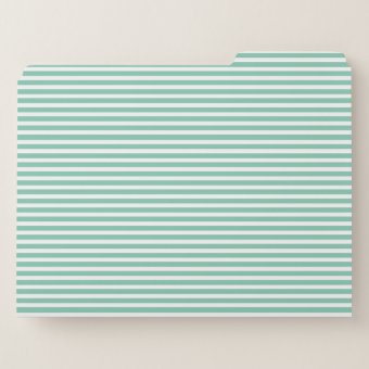 Mint Green and White Striped File Folder | Zazzle